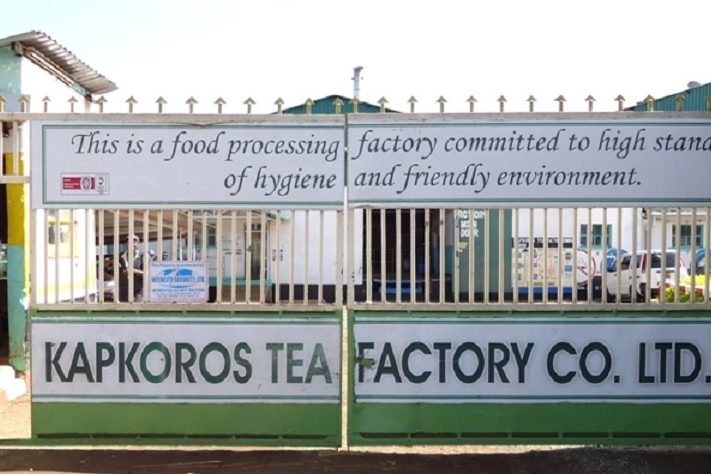 TEA PLANTATION – CGOB