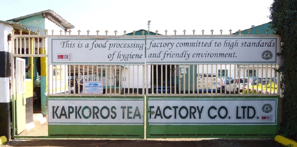 Kapkoros Tea Factories – CGOB