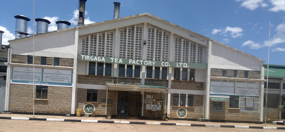 Tirgaga Tea Factory – CGOB
