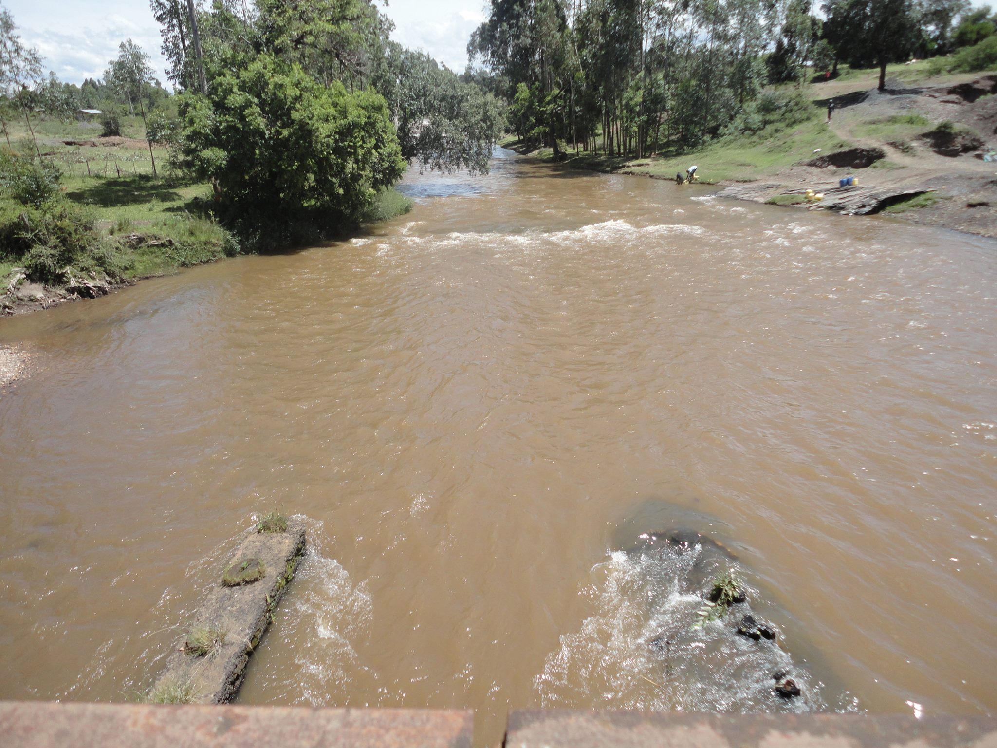 Bomwasco Moves In To Conserve Nyangores River – CGOB