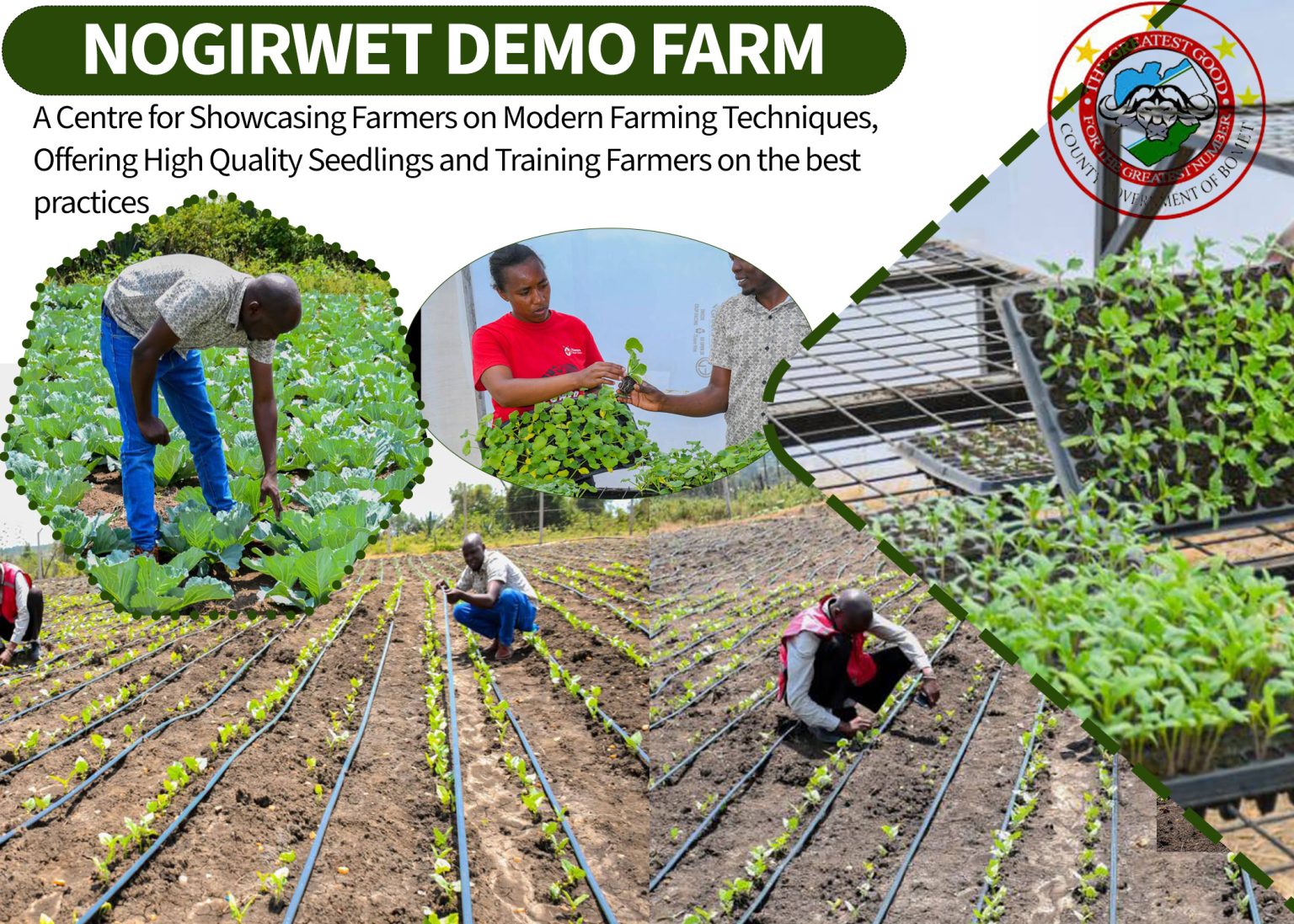 Homepage - The County Government of Bomet