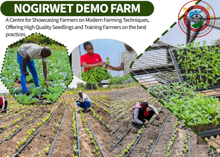 Homepage - The County Government of Bomet