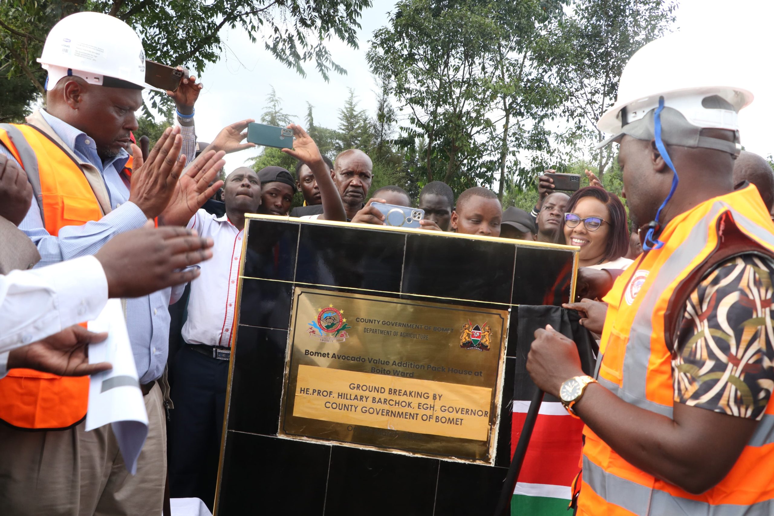 Bomet County To Build Packhouse For Avocado Farmers - The County ...